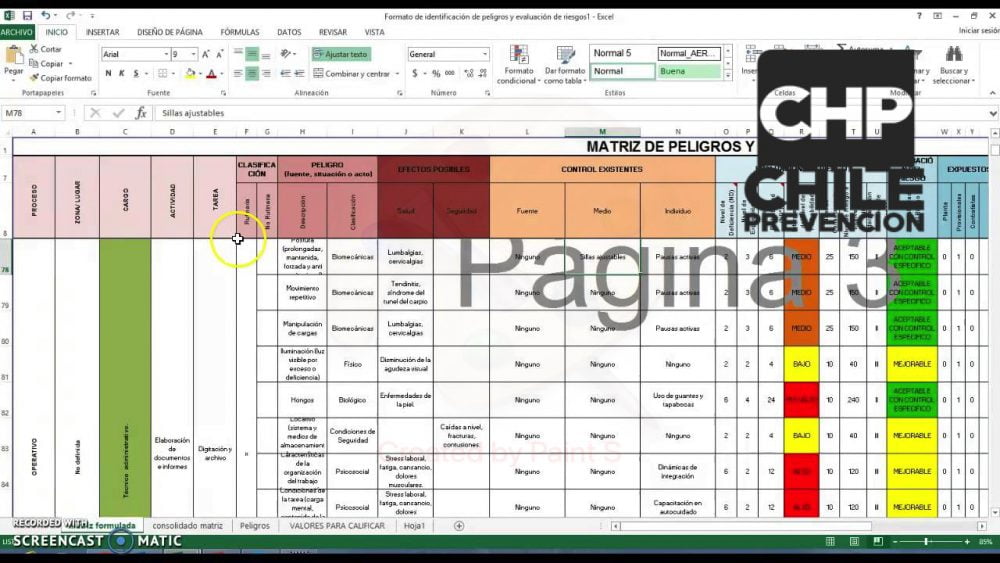 MODELOS DE MATRICES DE RIESGO (IPER – MIPER): INCLUYE MATRIZ RIESGOS ...