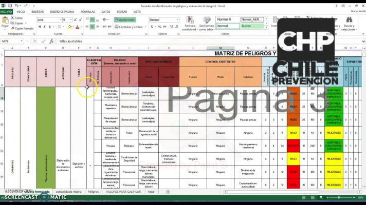 MODELOS DE MATRICES DE RIESGO (IPER - MIPER): INCLUYE MATRIZ RIESGOS HIGIENICOS, MATRIZ ...