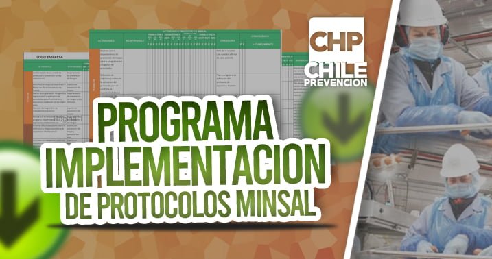PROGRAMA IMPLEMENTACIÓN PROTOCOLOS MINSAL - ChilePrevencion el portal de los prevencionistas de ...