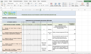 CARTA GANTT PROGRAMA ANUAL COMITE PARITARIO ds 44 - ChilePrevencion el portal de los ...