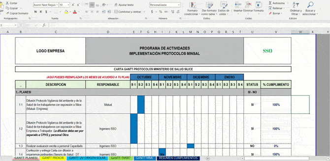 CARTA GANTT v2 AVANCE, CUMPLIMIENTO E IMPLEMENTACIÓN DE PROTOCOLOS MINSAL EN EMPRESAS ...