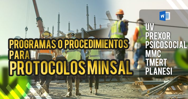 Programas-o-procedimientos-para-protocolos-MINSAL-(UV,-PREXOR,-PSICOSOCIAL,-MMC,-TMERT,-PLANESI ...