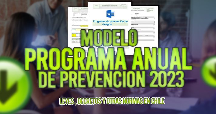 MODELO-PROGRAMA-ANUAL-DE-PREVENCION-2023 - ChilePrevencion el portal de los prevencionistas de ...