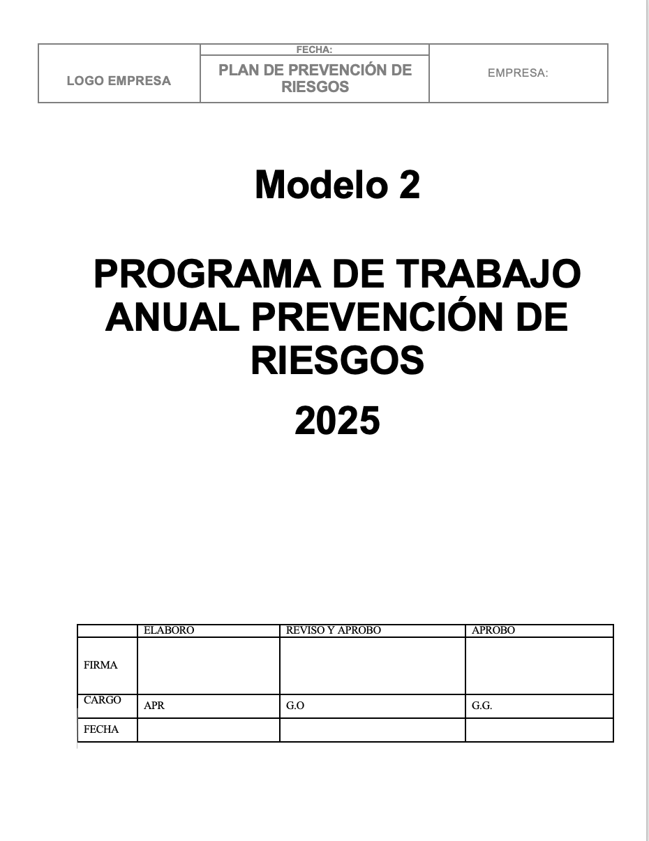 Programa anual Prevencion de Riesgos 2025 MODELO 2 - ChilePrevencion el portal de los ...