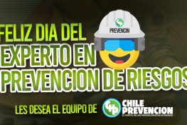 CARTA GANTT DS 44 PROGRAMA DE IMPLEMENTACION - ChilePrevencion el portal de los prevencionistas ...