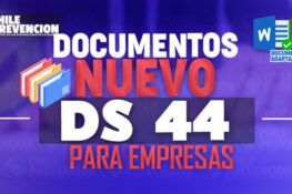 PROGRAMA ANUAL Y SISTEMA DE GESTION DE SEGURIDAD Y SALUD EN EL TRABAJO V7 - ChilePrevencion el ...