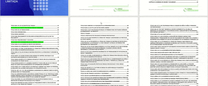 NUEVO REGLAMENTO INTERNO DS 44 RIOHS 2025 v4.2 - ChilePrevencion el portal de los ...