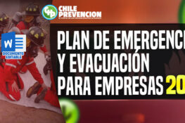 MODELOS PROGRAMA ANUAL DE PREVENCION DE RIESGOS 2025 - ChilePrevencion el portal de los ...