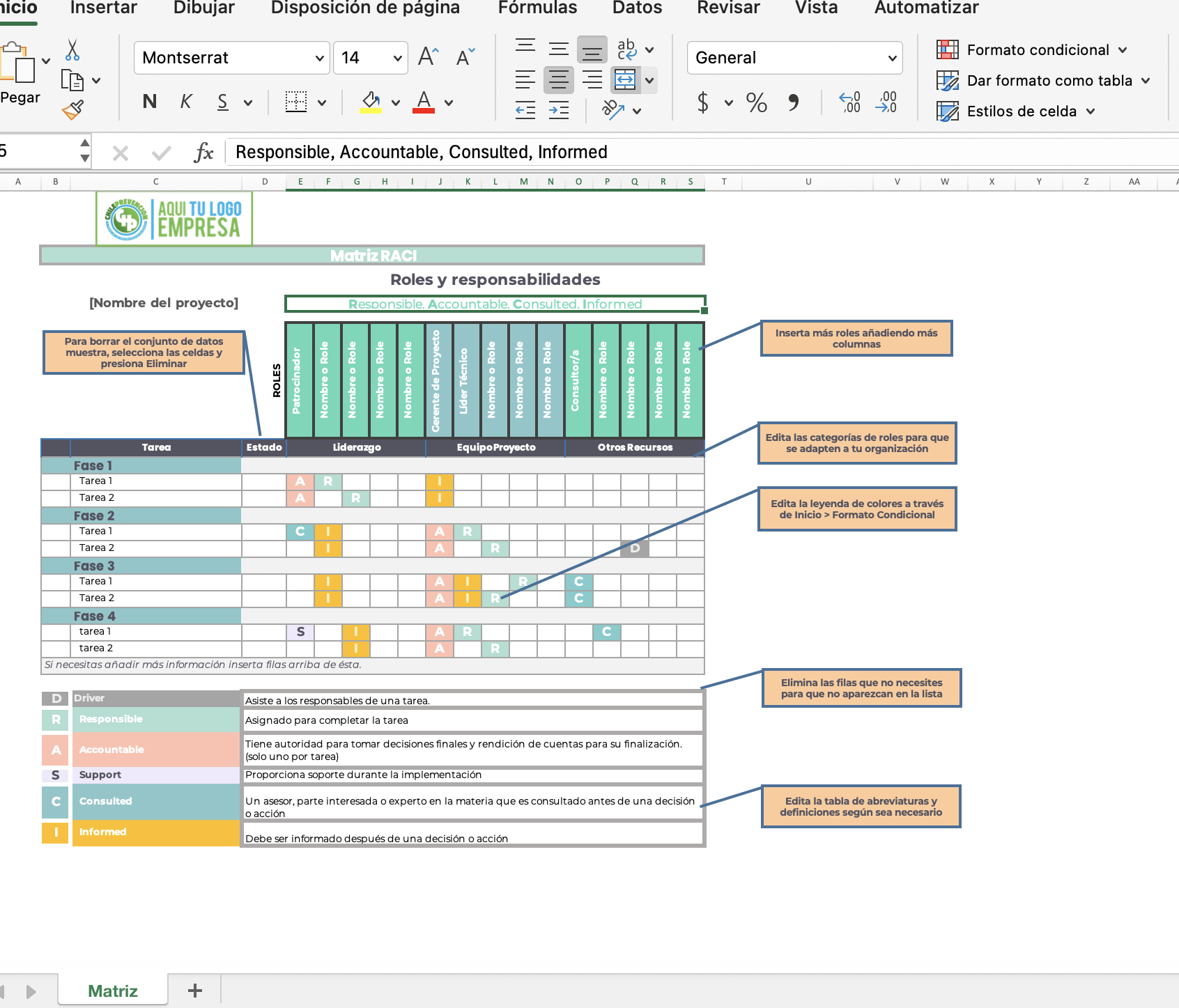 Plantilla excel matriz RACI - ChilePrevencion el portal de los prevencionistas de riesgos en Chile