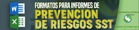 PROGRAMA ANUAL Y SISTEMA DE GESTION DE SEGURIDAD Y SALUD EN EL TRABAJO V7 - ChilePrevencion el ...